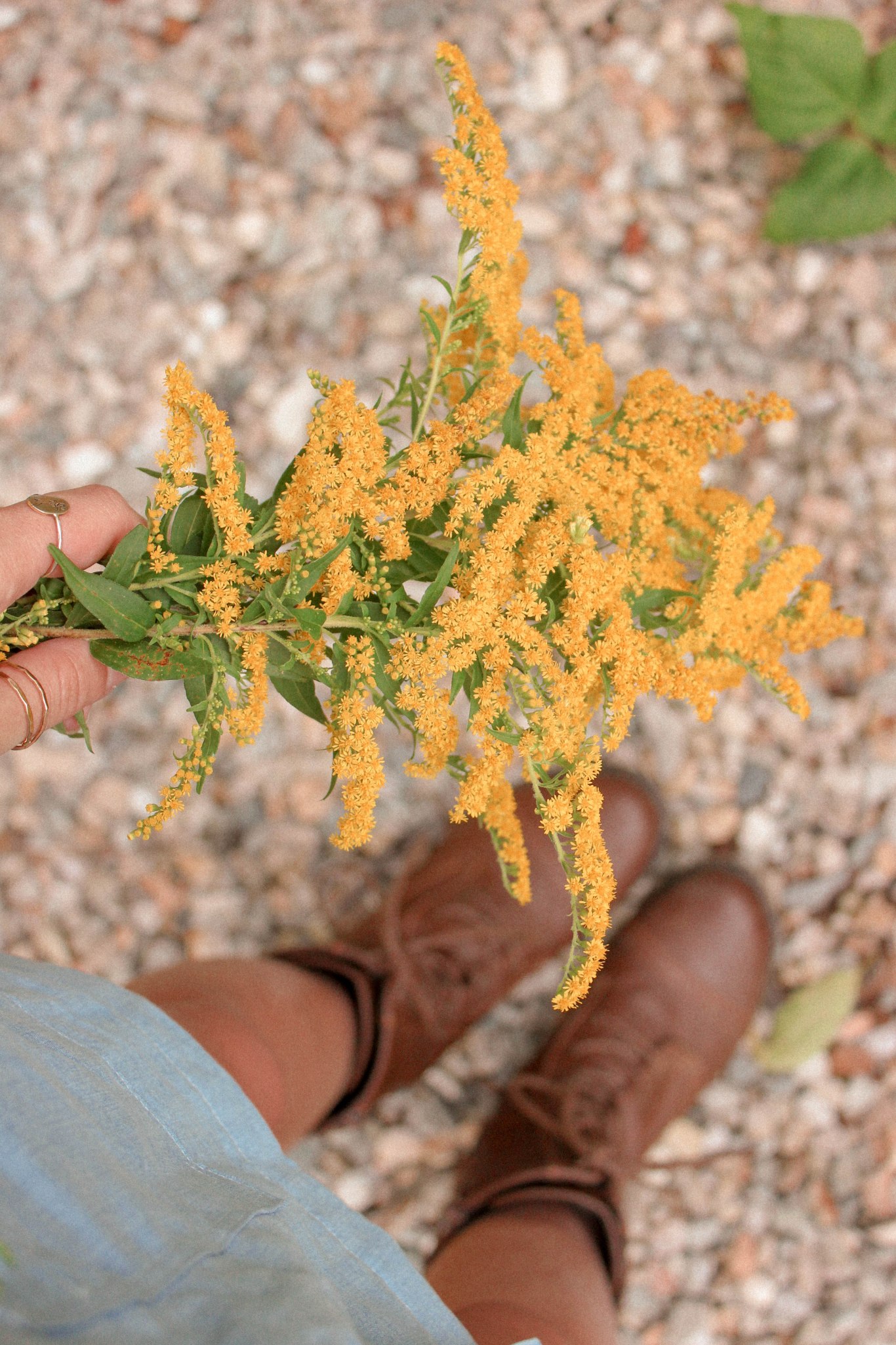 little blue dress | art by jordan rae