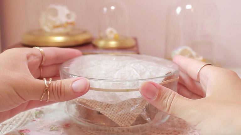 how to pin butterflies | art by jordan rae