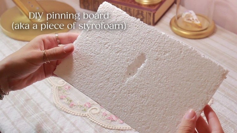 how to pin butterflies | art by jordan rae