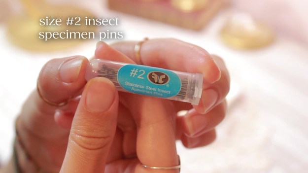 how to pin butterflies | art by jordan rae